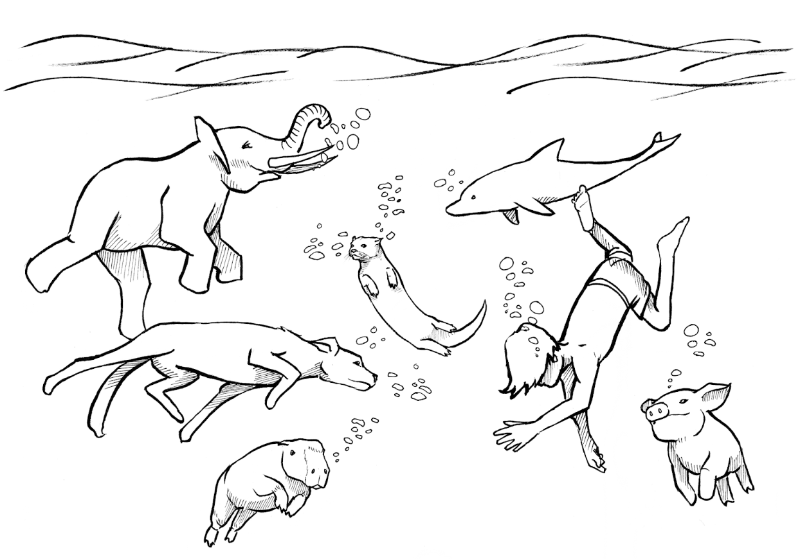 Experiment: The Diving Response: How Your Heart Reacts to Water ...