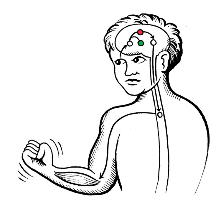 The Science of your Reaction Time – Backyard Brains