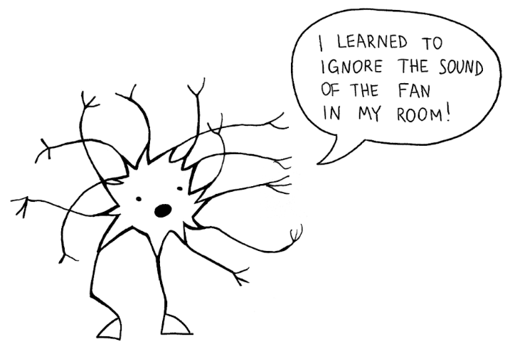 Experiment Neural Adaptation Backyard Brains