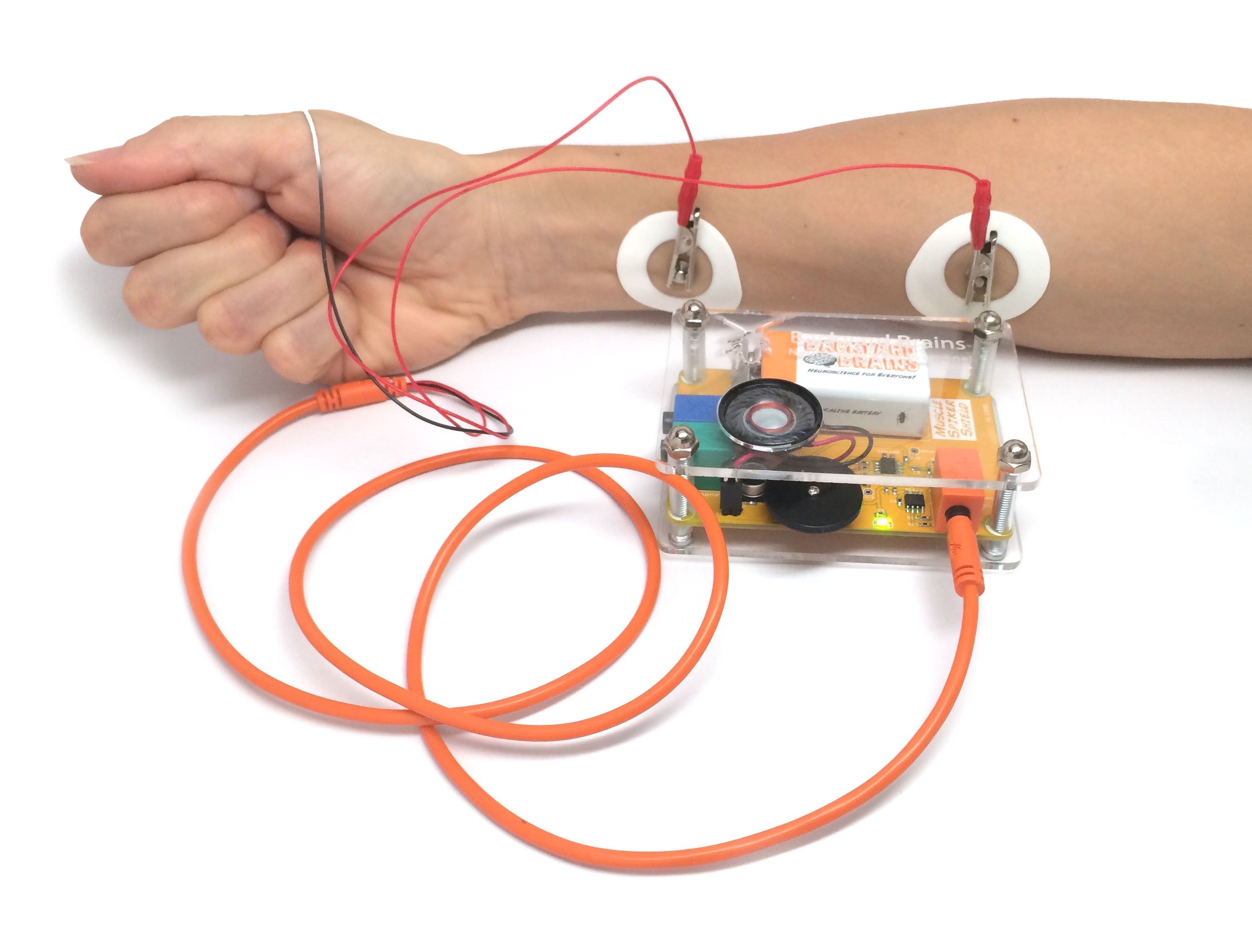 Science Fair Project Ideas & STEM Experiments | Backyard Brains