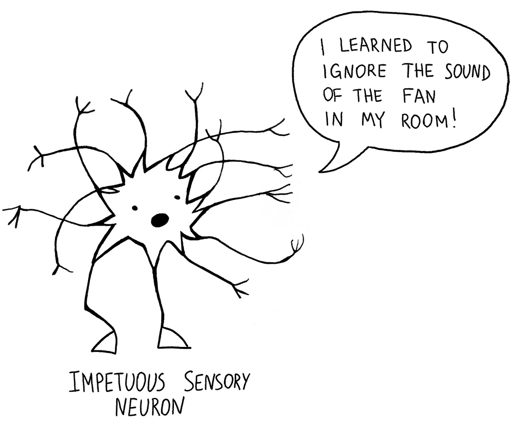 Experiment: Neural Adaptation – Backyard Brains